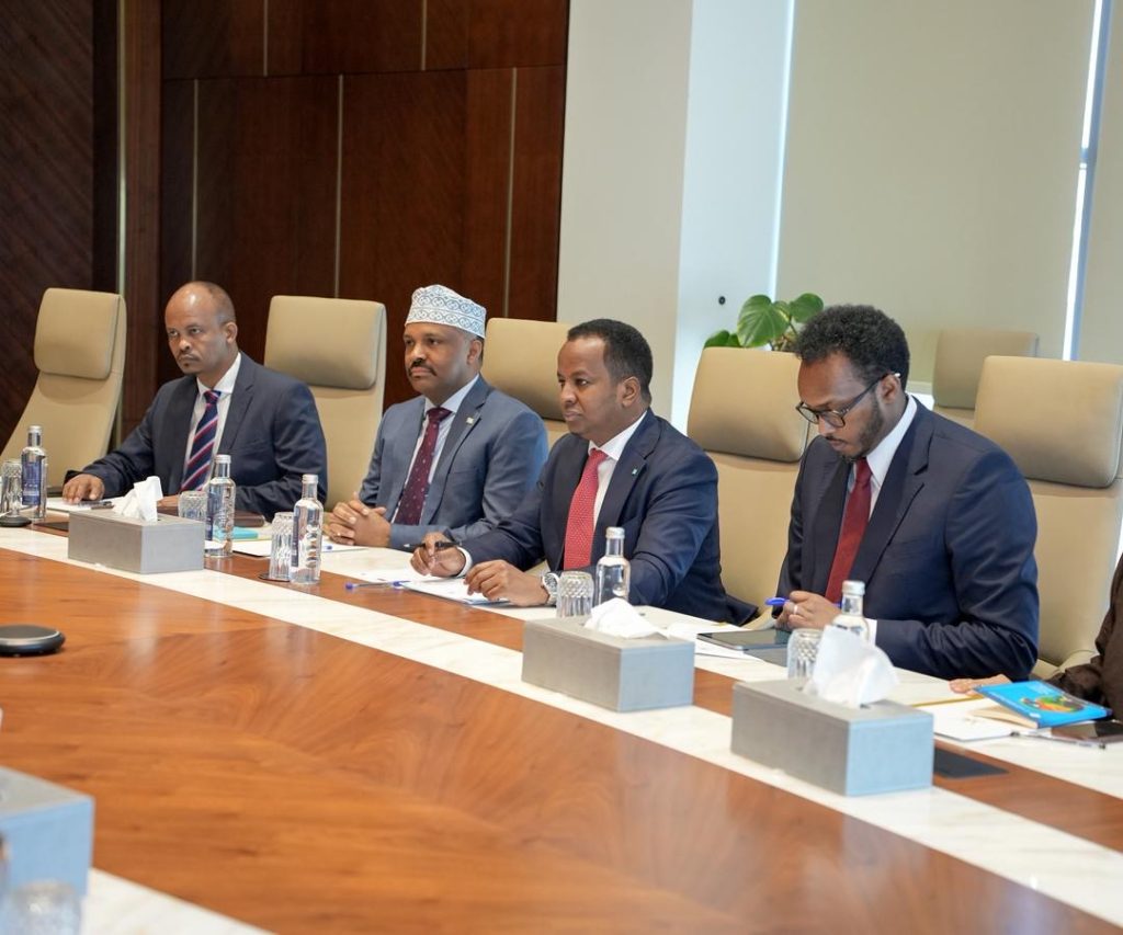 Somalia, Oman Advance Strategic Investment Cooperation Across Priority ...