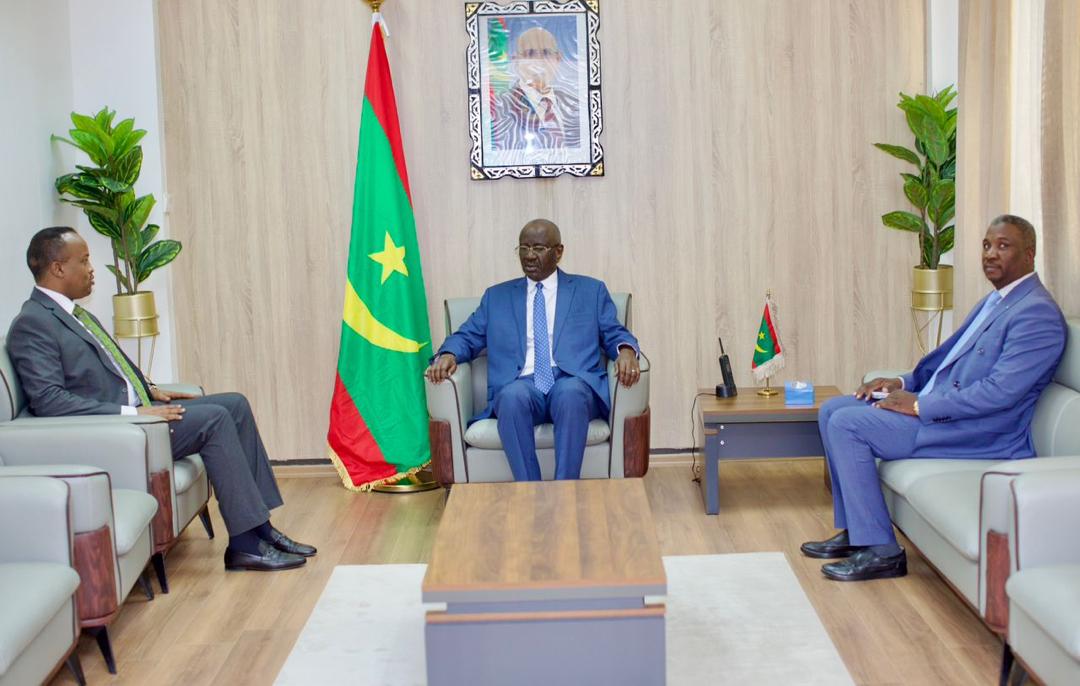 Somali Ambassador to Mauritania Presents Copies of Letters of Credence ...